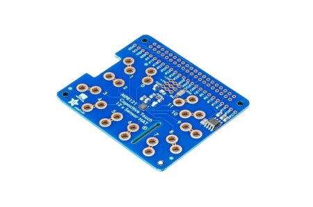 Buy Adafruit Capacitive Touch HAT for Raspberry Pi - Mini Kit - MPR121 ...