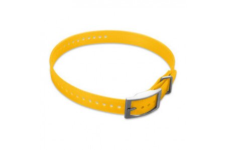 Buy Garmin 1-inch Collar Strap - Yellow online in Pakistan - Tejar.pk