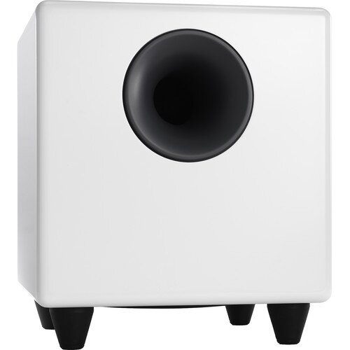 Buy Audioengine S8 Powered Subwoofer - Hi-Gloss Piano White online in ...