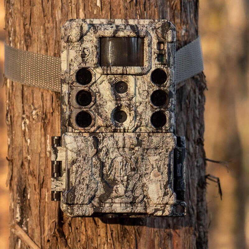 Buy Bushnell CORE DS-4K No Glow Trail Camera online in Pakistan - Tejar.pk