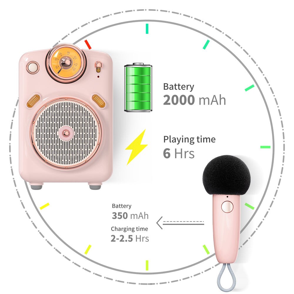 Buy Divoom Fairy-OK Retro Mini Karaoke Speaker - Pink online in ...
