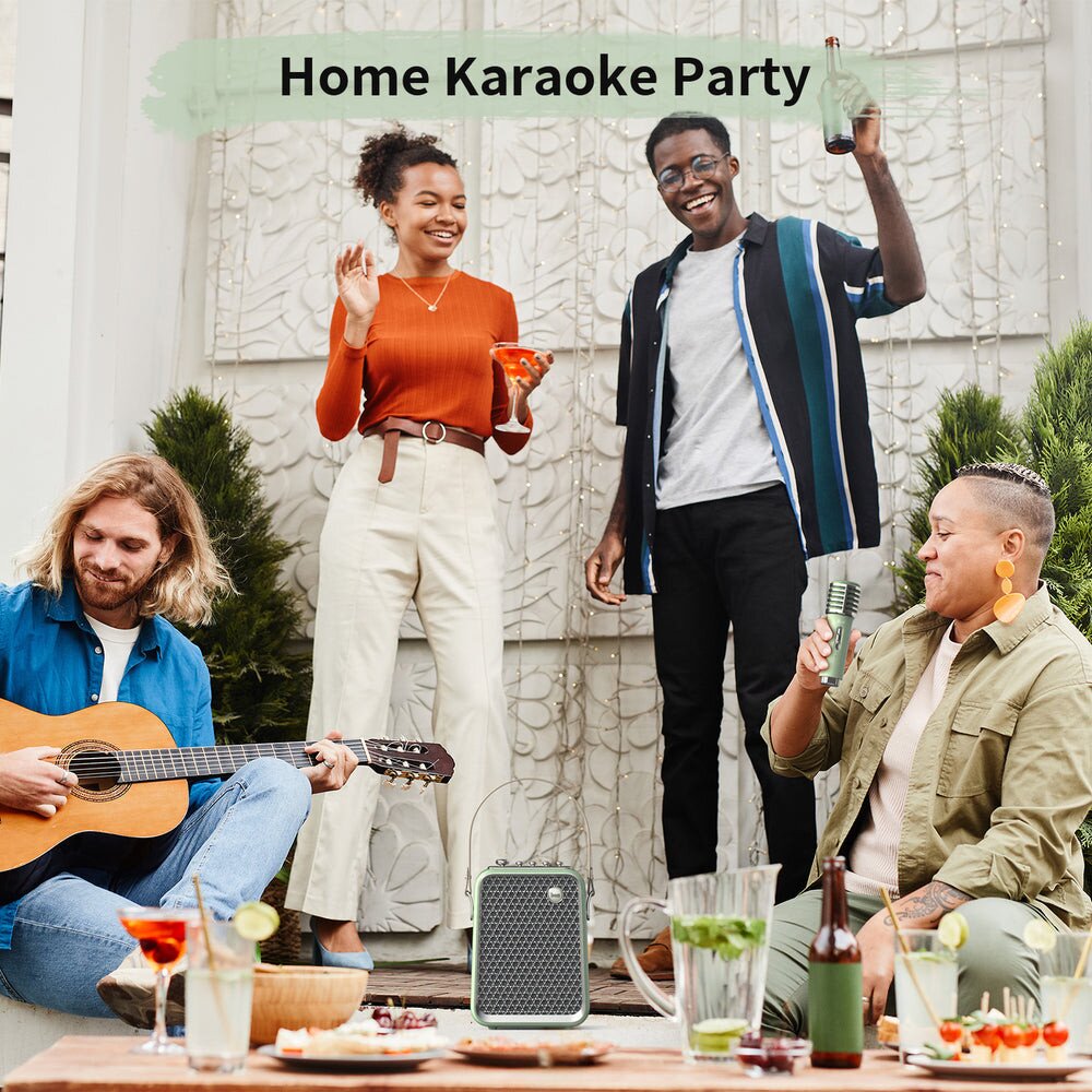 Buy Divoom Songbird-HQ Portable Karaoke Bluetooth Speaker - Green ...