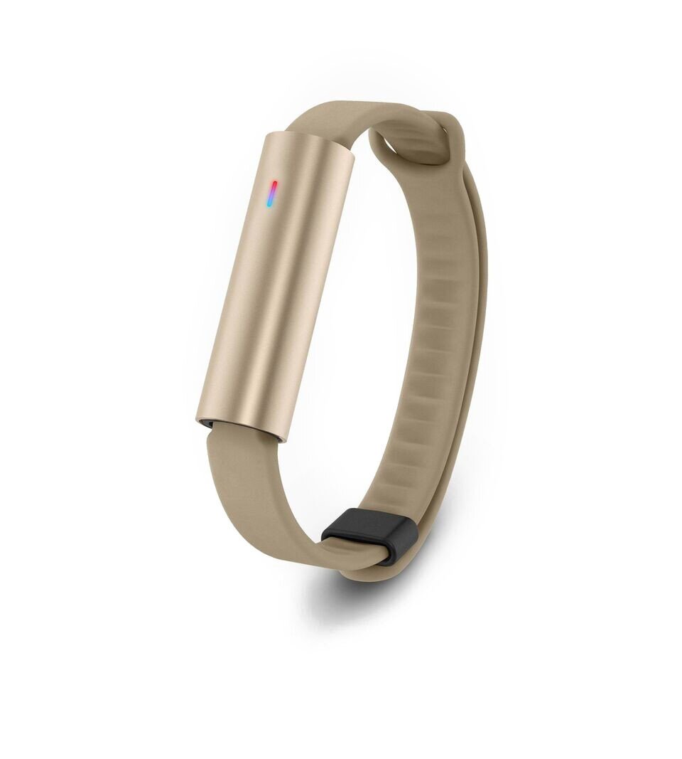 Buy Misfit Ray Fitness + Sleep Tracker - Desert Sport Band - Champagne ...