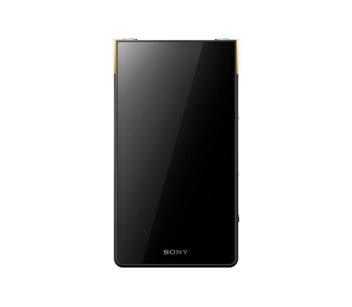 Buy Sony ZX707 Walkman ZX Series Portable Audio Player online in ...
